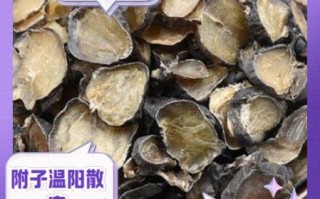 附子汤的功效与作用_附子汤适合哪些人喝