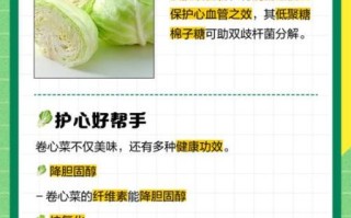 卷心菜哪些人不能吃_卷心菜禁忌人群