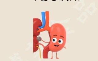 胆结石不能吃什么_胆结石患者禁食11种食物