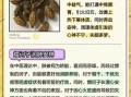 诃子有什么功效_诃子能治哪些病