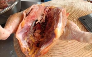 鸡胗和鸡肾的区别_鸡胗和鸡肾哪个更好吃