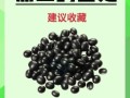 黑豆营养价值高吗_黑豆营养成分有哪些