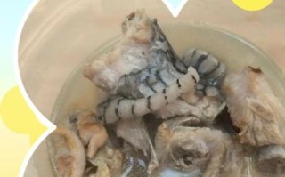 蛇汤怎么炖_蛇汤炖多久才安全