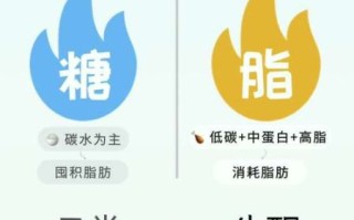 什么是生酮饮食_生酮饮食怎么吃才有效