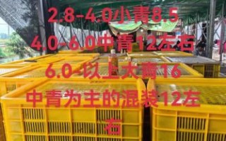 小龙虾价格暴跌原因_今年小龙虾为什么便宜