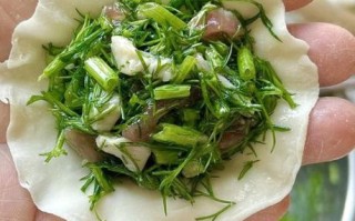 小茴香饺子馅怎么做_小茴香饺子馅的做法窍门