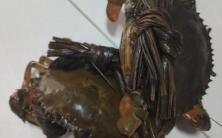 青蟹多少钱一斤_青蟹价格为什么差距大