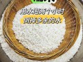 鲜肉粽子怎么做_鲜肉粽子最正宗的做法