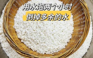 鲜肉粽子怎么做_鲜肉粽子最正宗的做法