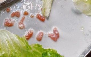 自制肠粉米浆怎么做_肠粉米浆比例是多少