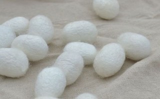 蚕茧怎么处理_蚕茧怎么抽丝