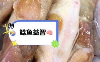 胡子鲶鱼的营养价值_胡子鲶鱼的功效与作用