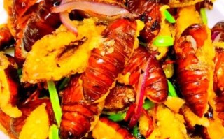 葱爆蚕蛹怎么做_蚕蛹怎么炒才酥脆