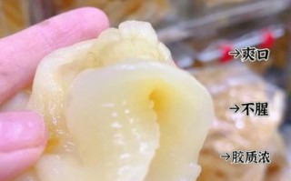 鲈鱼花胶有什么营养价值_适合什么人吃