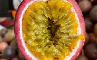 吃什么食物祛斑美白最有效_哪些水果能淡斑