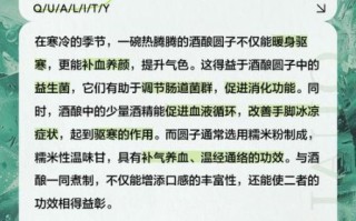 酒酿圆子的功效_适合什么人吃