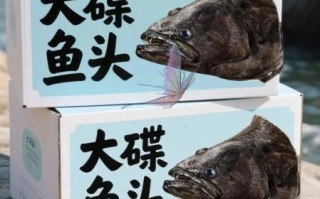 鸦片鱼头多少钱一斤_鸦片鱼头价格行情