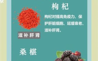 肾虚吃什么好调养_肾虚饮食禁忌有哪些