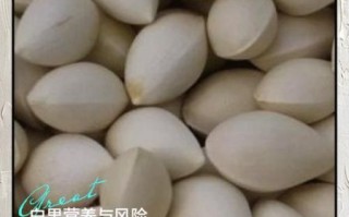 白果怎么吃才正确方法_白果一天吃几颗合适