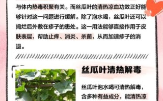 丝瓜叶晒干泡水有什么功效_丝瓜叶茶怎么喝