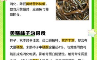 黄鳝吃什么长得快_黄鳝饲料配方大全
