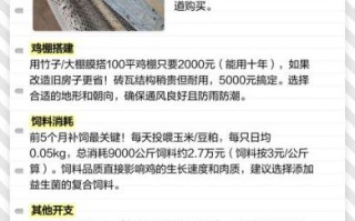 土鸡养殖成本利润_土鸡养殖一年能赚多少钱