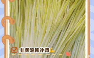 韭黄的功效与作用_韭黄什么人不能吃