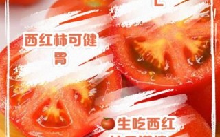 西红柿天天吃有危害吗_长期吃西红柿的副作用