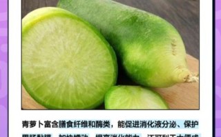 青萝卜的营养价值_青萝卜有哪些功效