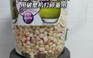 鲜玉米浆饼怎么做_鲜玉米浆饼家常做法