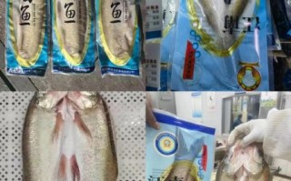 白鱼是什么鱼_白鱼多少钱一斤