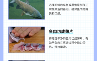 酸菜鱼怎么做才正宗_正宗酸菜鱼用什么鱼最好