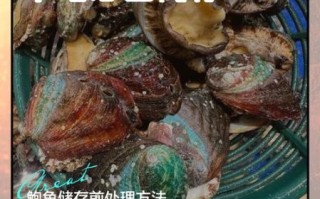 鲍鱼怎么保存最新鲜_活鲍鱼放冰箱能活几天