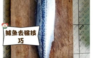 鲅鱼怎么做好吃_鲅鱼的家常做法