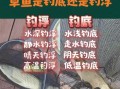鲮鱼钓底还是钓浮_野钓实战技巧