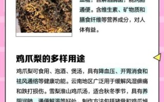 鸡爪梨是什么水果_鸡爪梨的功效与作用