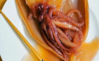 鱿鱼干怎么泡发_鱿鱼干怎么保存