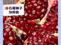 石榴不能和什么一起吃_石榴食用禁忌有哪些