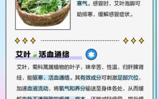 女性长期用艾叶泡脚好吗_艾叶泡脚的副作用