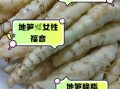地笋的功效与作用_地笋叶怎么吃
