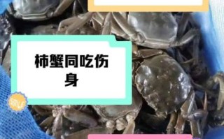 河蟹禁忌什么一起吃_河蟹不能和哪些食物同食