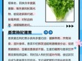 喝香菜水能减肥吗_香菜水减肥原理