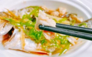 清蒸鱼翅怎么做_清蒸鱼翅要蒸多久