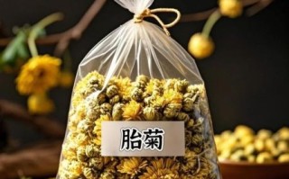 胎菊花茶的功效与作用_胎菊花茶适合什么人喝