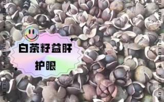 茶籽的功效与作用_茶籽怎么食用