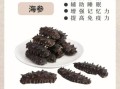 海参营养价值真的那么高吗_海参功效与作用真相