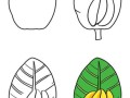 芭蕉叶简笔画怎么画_芭蕉叶简笔画步骤
