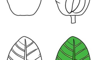 芭蕉叶简笔画怎么画_芭蕉叶简笔画步骤