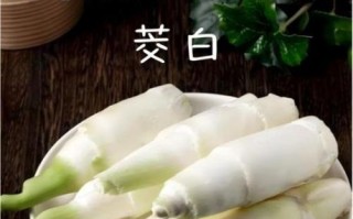 茭白的功效与作用_茭白的禁忌和副作用