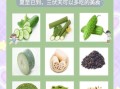 夏至养生吃什么食物_夏至饮食注意事项